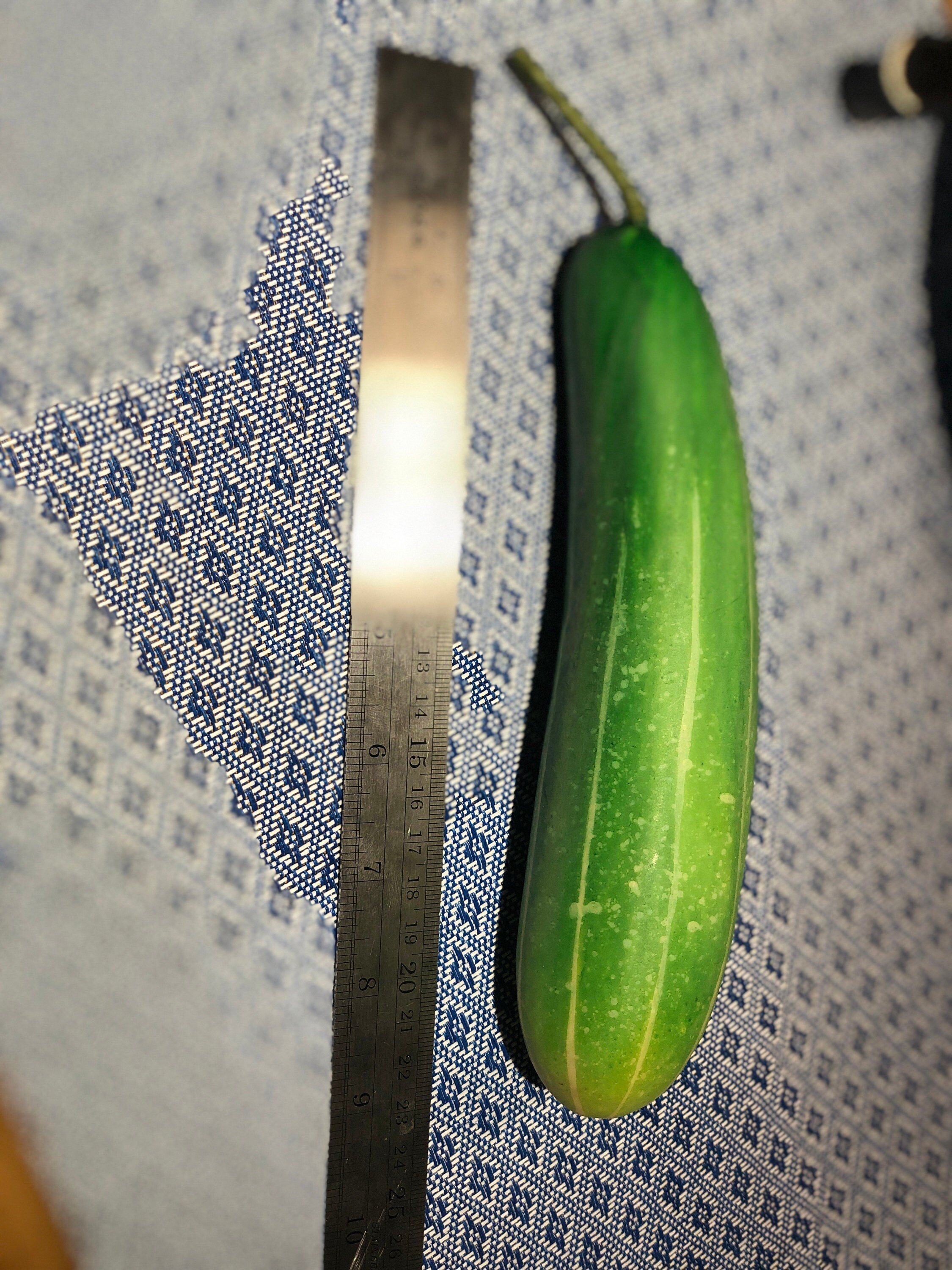 Artificial Cucumber Large Plastic Fake Vegetables Food Green Home Decor ...