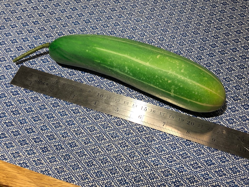 Artificial Cucumber Large Plastic Fake Vegetables Food Green Home Decor ...