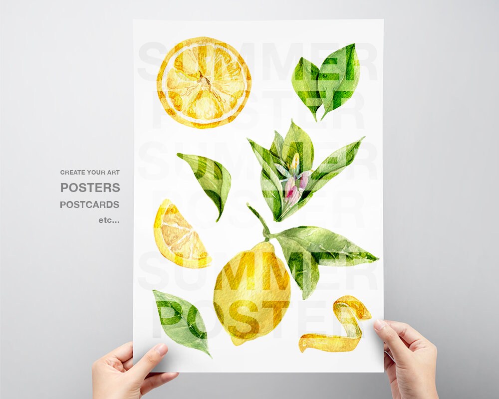 Watercolor Lemon Clipart, Summer Watercolor Clipart, Hand Painted ...