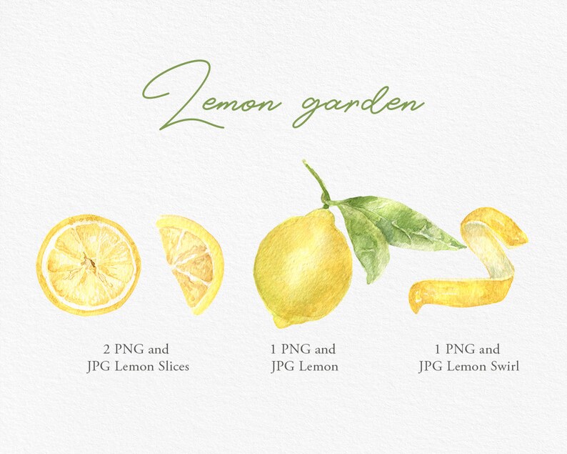 Watercolor Lemon Clipart, Summer Watercolor Clipart, Hand Painted ...