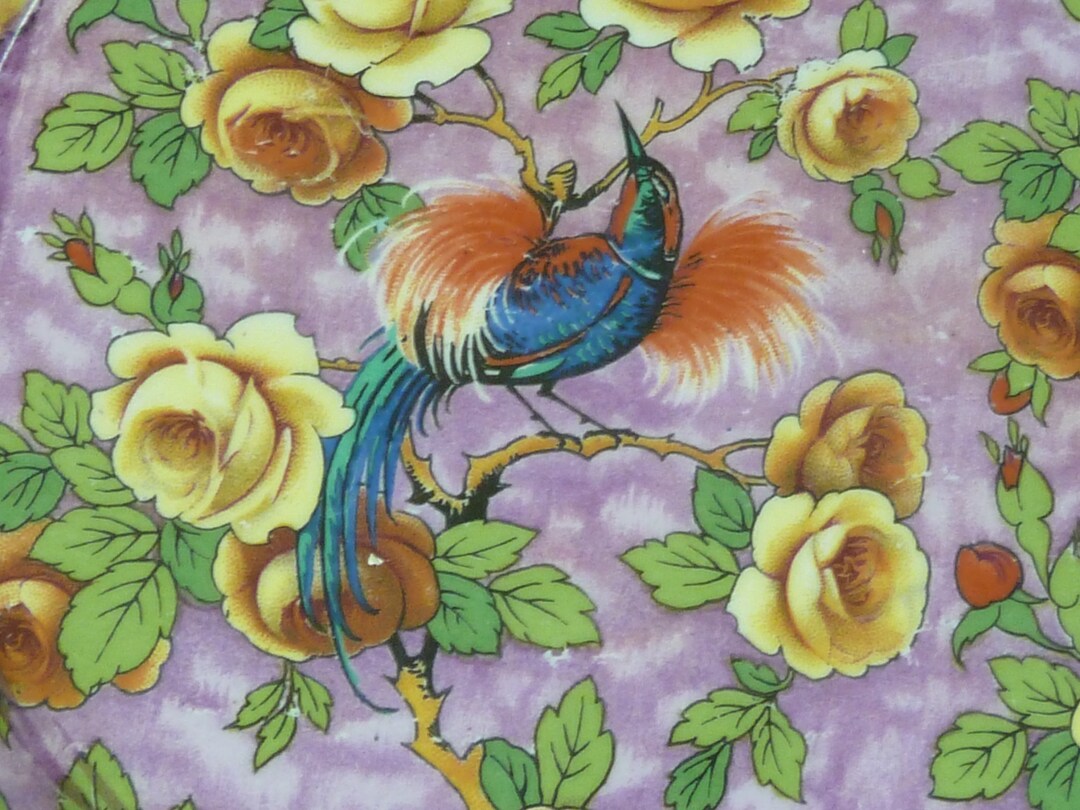 Shelley Large Chintz Plate Bird of Paradise Rose 30s Pottery Vintage - Etsy