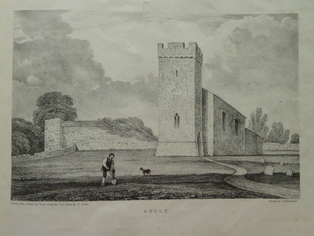 1828 Homfray (jeston) the Castles of the Lordship of Glamorgan Cardiff ...