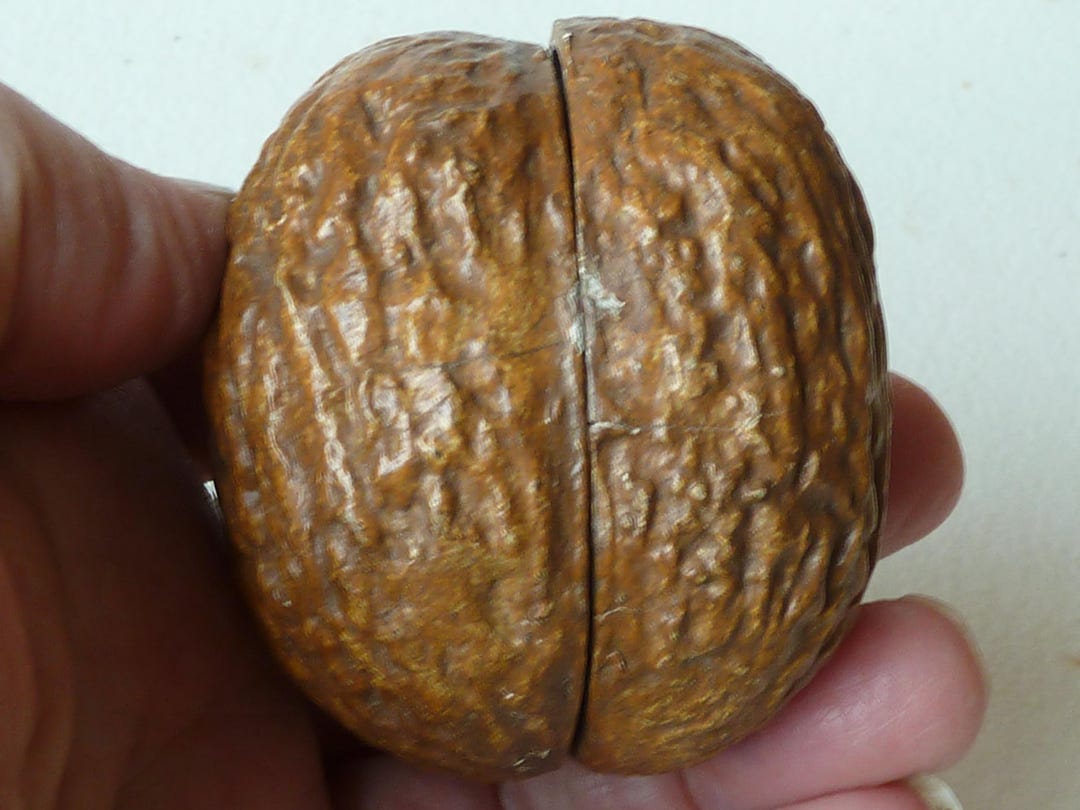 Large Victorian Paper Mache Walnut Etui Box Case Holder Accessory ...