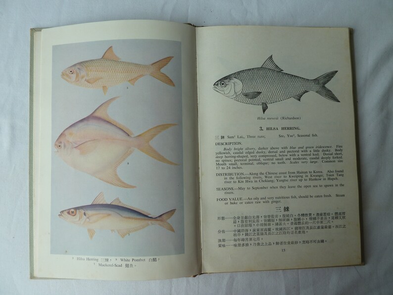 Common Marine Food-fishes of Hong Kong Herklots Lin Book - Etsy