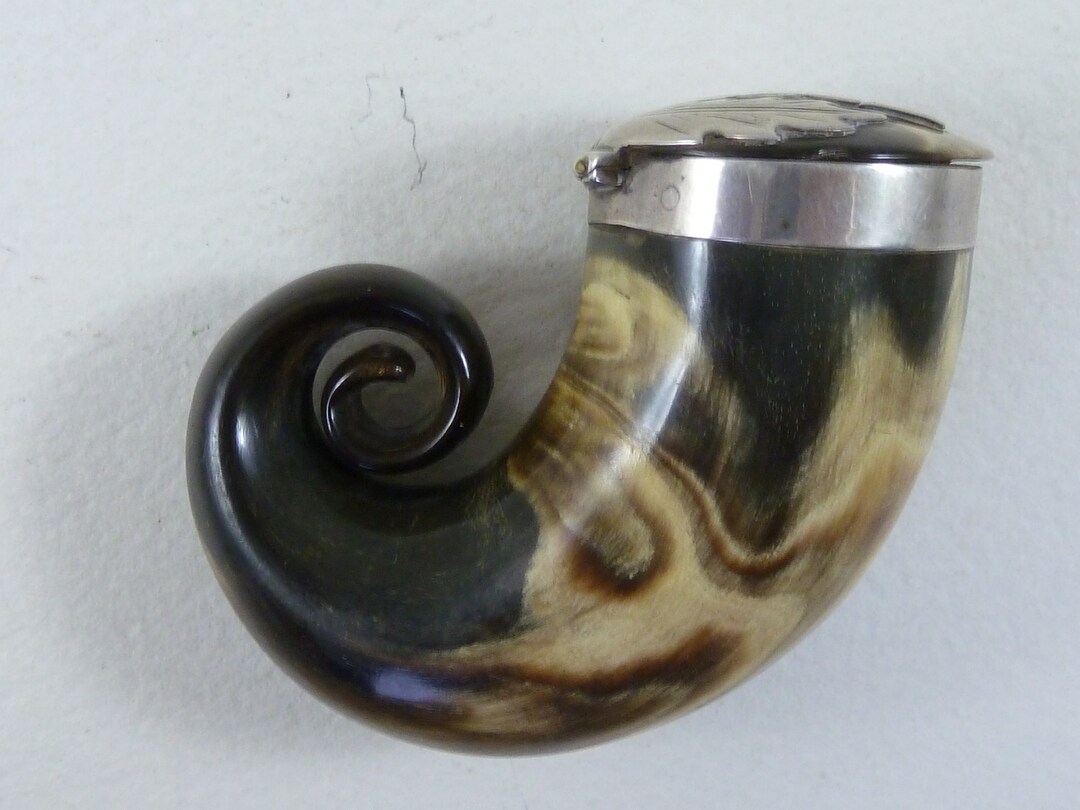Scottish Horn Snuff Mull Hinged Silver Lid Thistle Box Antique - Etsy