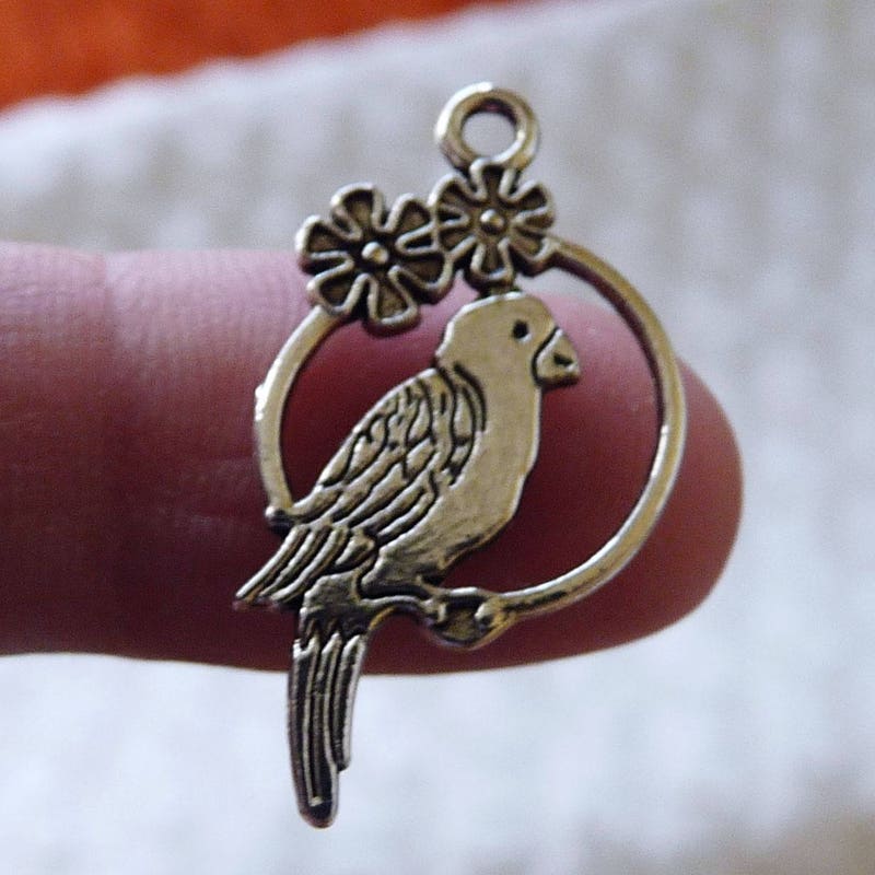 Parrot Charms - Etsy