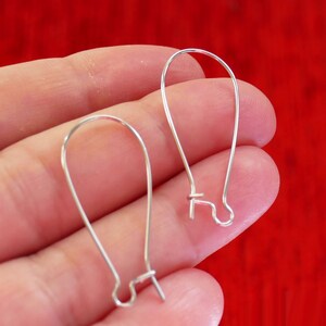 10x Stainless Steel Kidney Earring Hooks With Clasps No Fade - Etsy