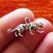 5/10x Tiger Charm, Wild Animal Predator Pendants, Antique Silver Tone ...