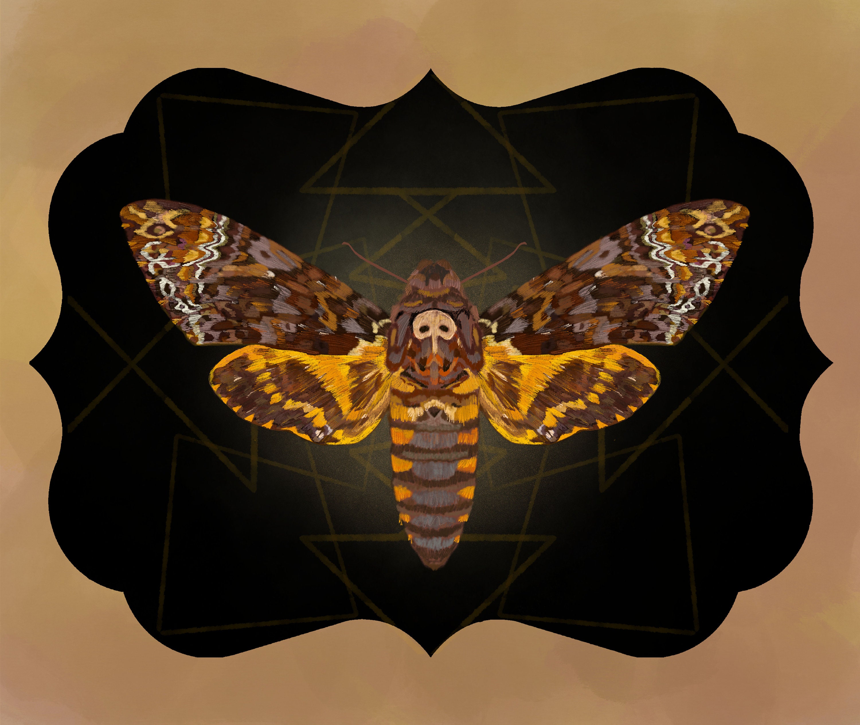 Death's-Head Hawk Moth Illustration Print | Etsy