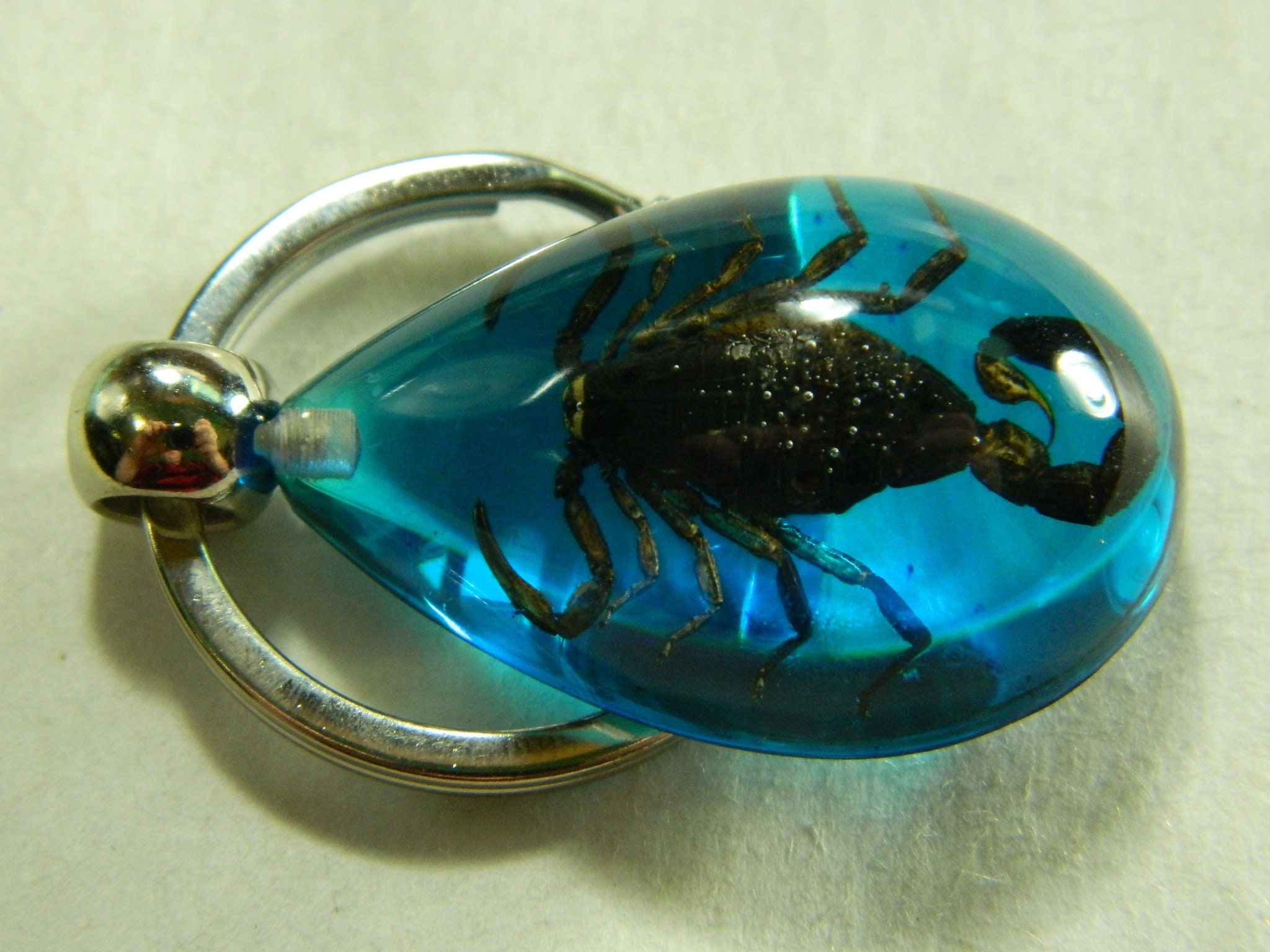 Scorpion in Blue Resin Keyring Keychain Real Insect Scorpion | Etsy