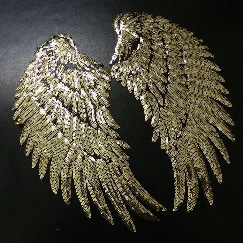 Saltburn Angel Wings - Etsy
