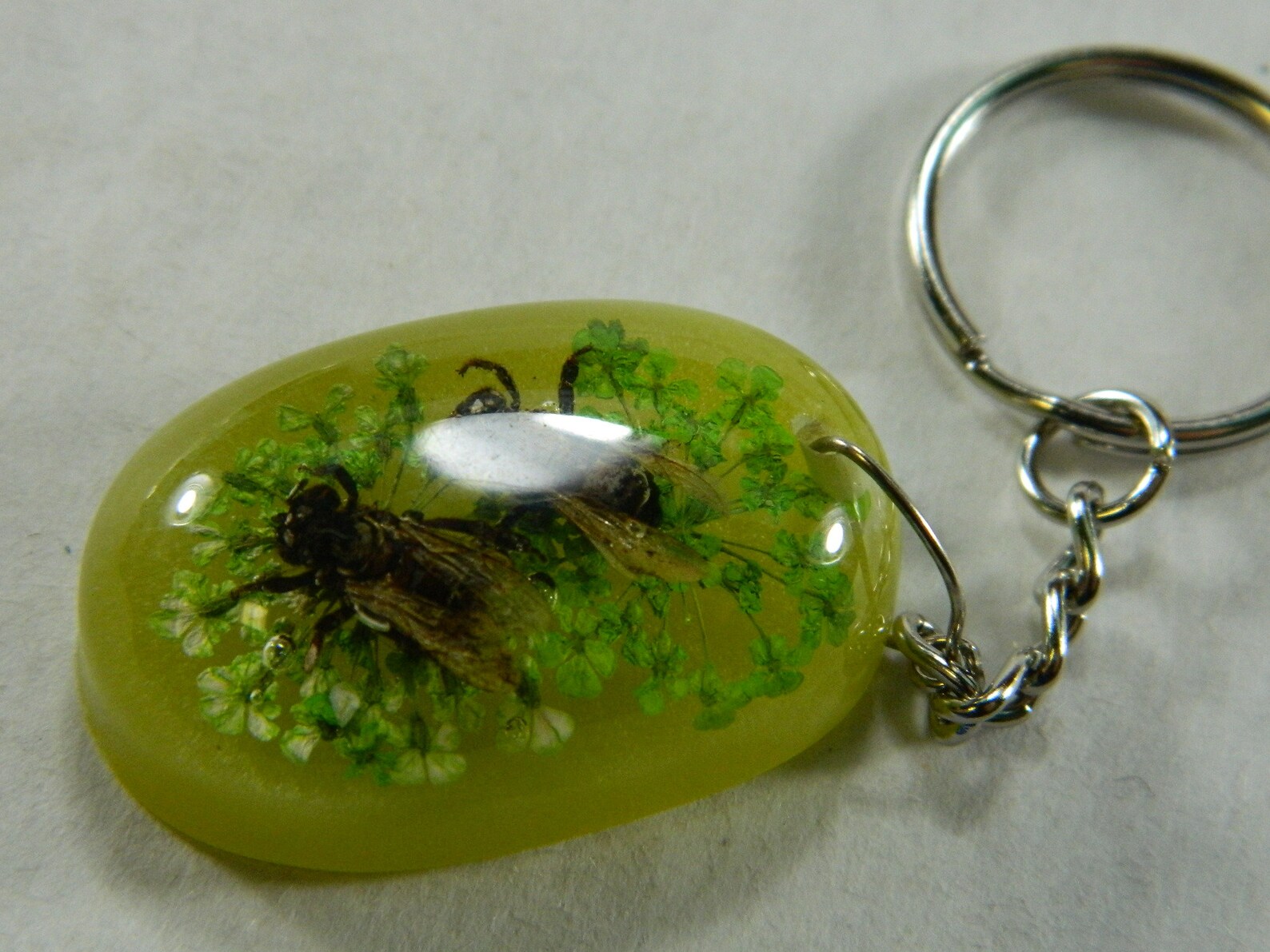 Lucky Double Bee Lucite Keyring Keychain Real Bee's & | Etsy