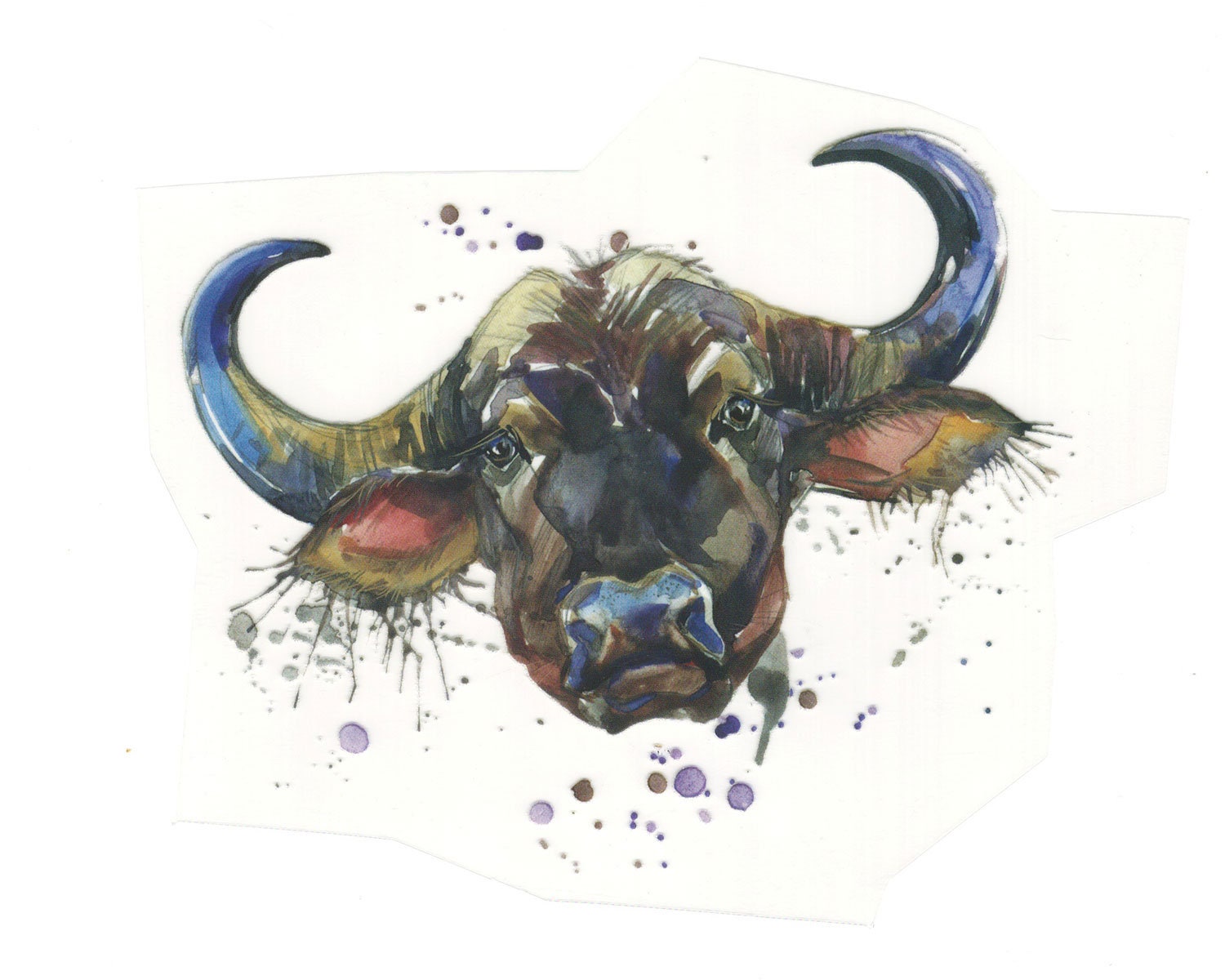 MED Water Buffalo Iron on Transfer Sticker DIY Patch - American Native ...