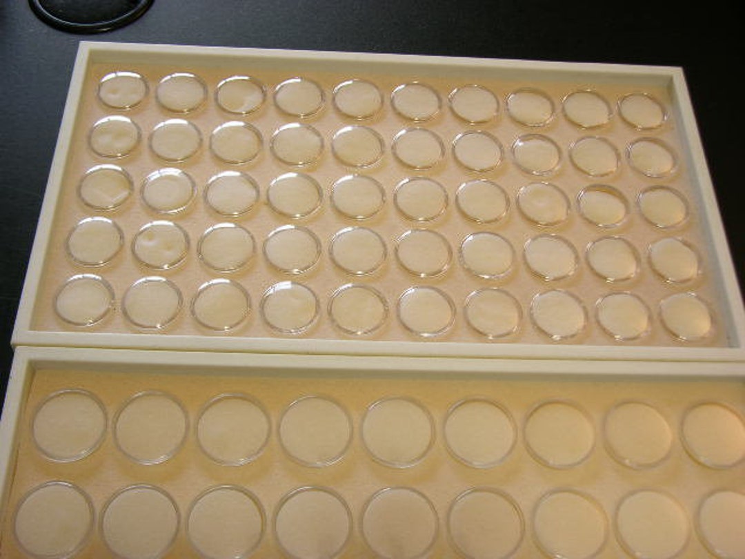 Gemstone Display Trays Used With Gem Jars 15x8.5x1 2 Trays - Etsy