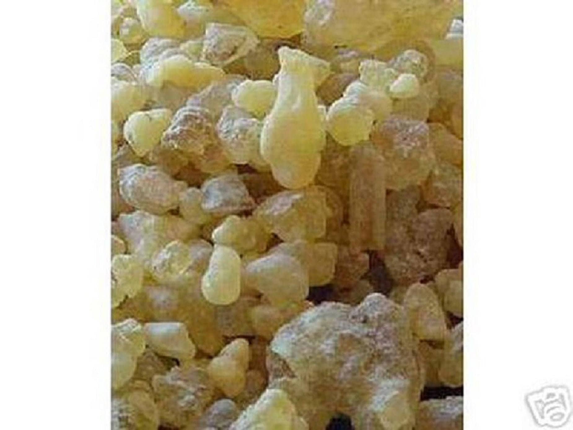 Frankincense Natural Resin Oman 1 Pound Lots - Etsy