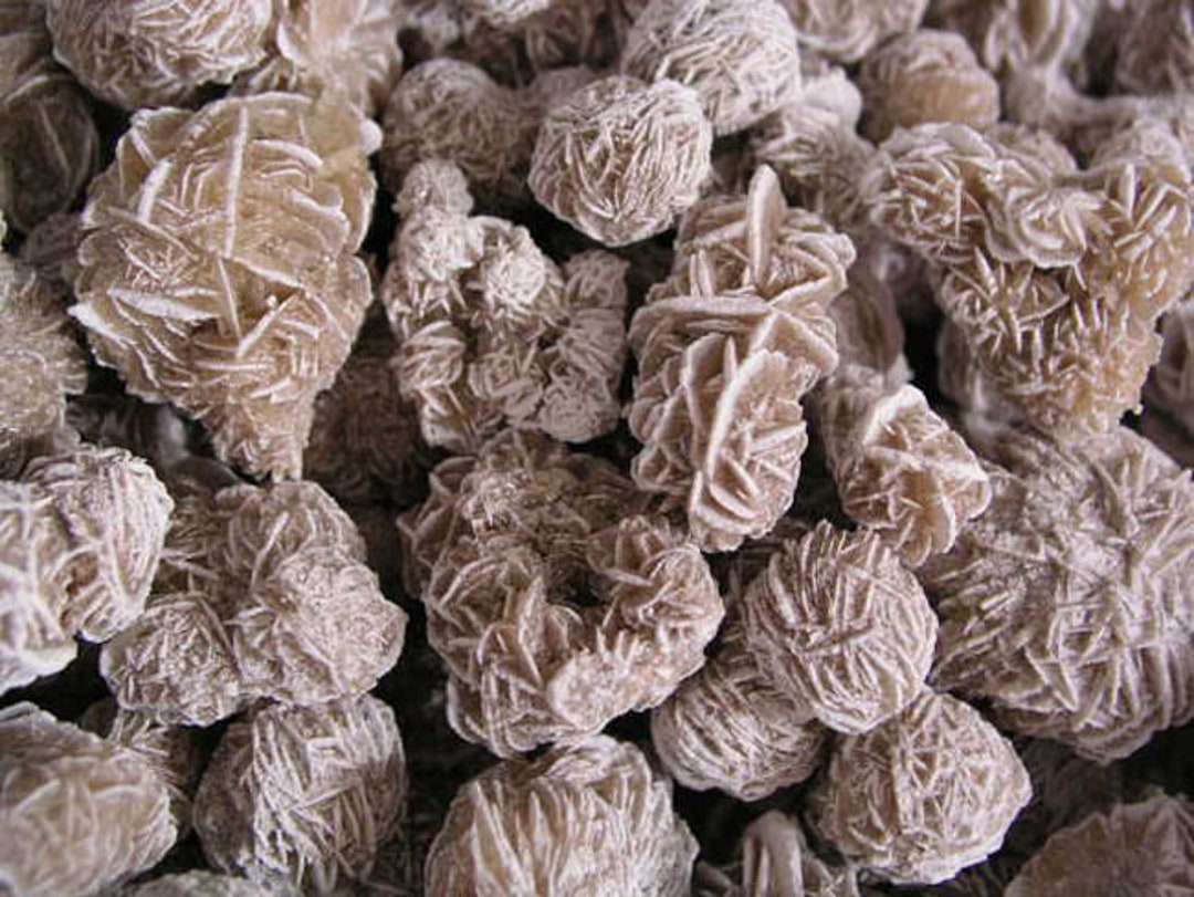 Desert Roses Selenite Rose Specimens All Natural 2 Pound Lots - Etsy
