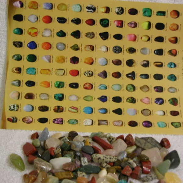 Rock Identification Chart - Etsy