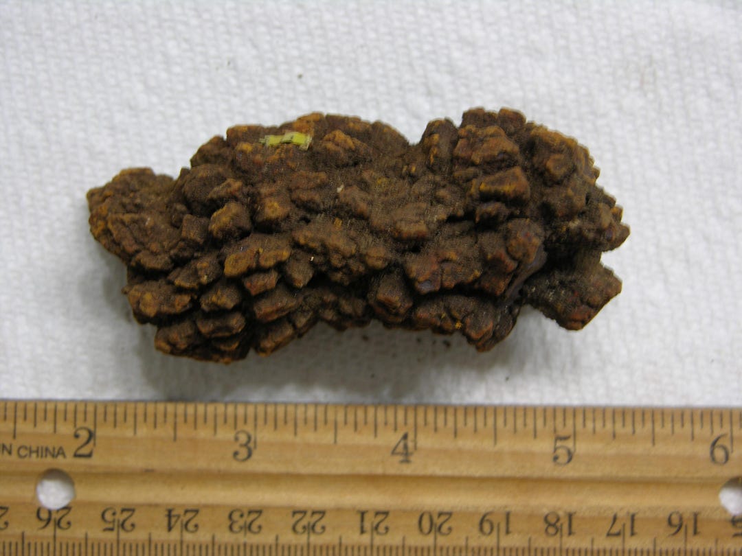 Coprolite Real Fossil Cretaceous Age Dinosaur Dung 3 In. JD85 - Etsy