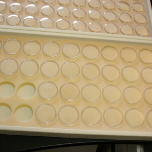 Gemstone Display Trays Used With Gem Jars 15x8.5x1 2 Trays - Etsy