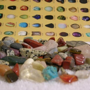 Rock & Mineral Educational Find Sort Identify Kit W/color Picture Chart ...