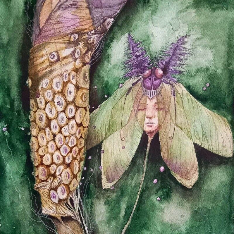 Live Moth Cocoon - Etsy