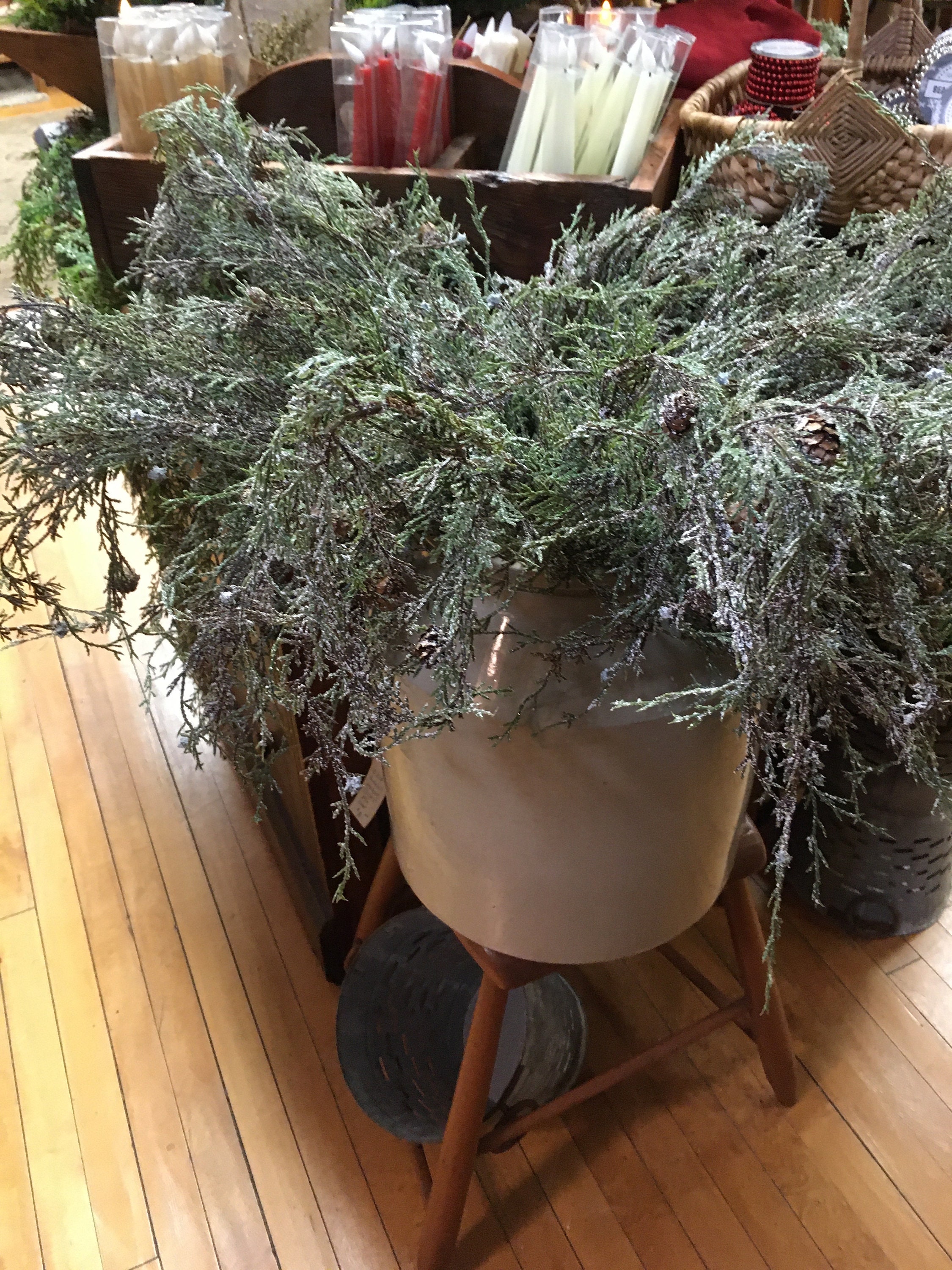 Snowy Weeping Cedar Hanging Branch - Etsy