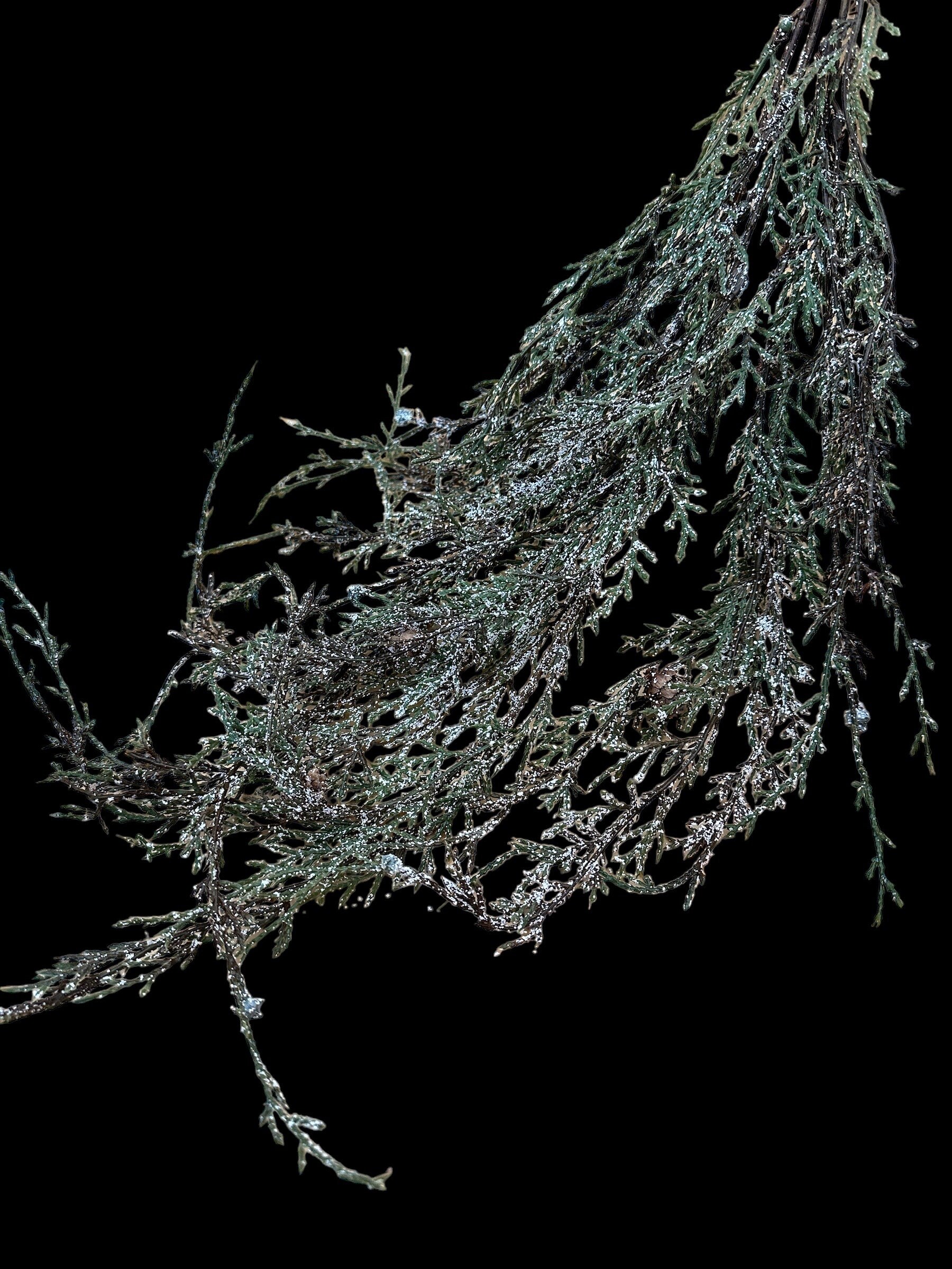 Snowy Weeping Cedar Hanging Branch - Etsy