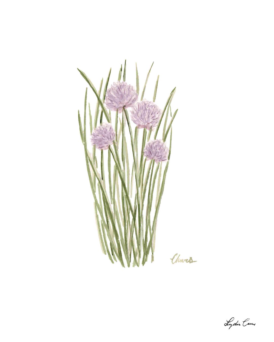 Chives Art Print - Herb Series - Etsy