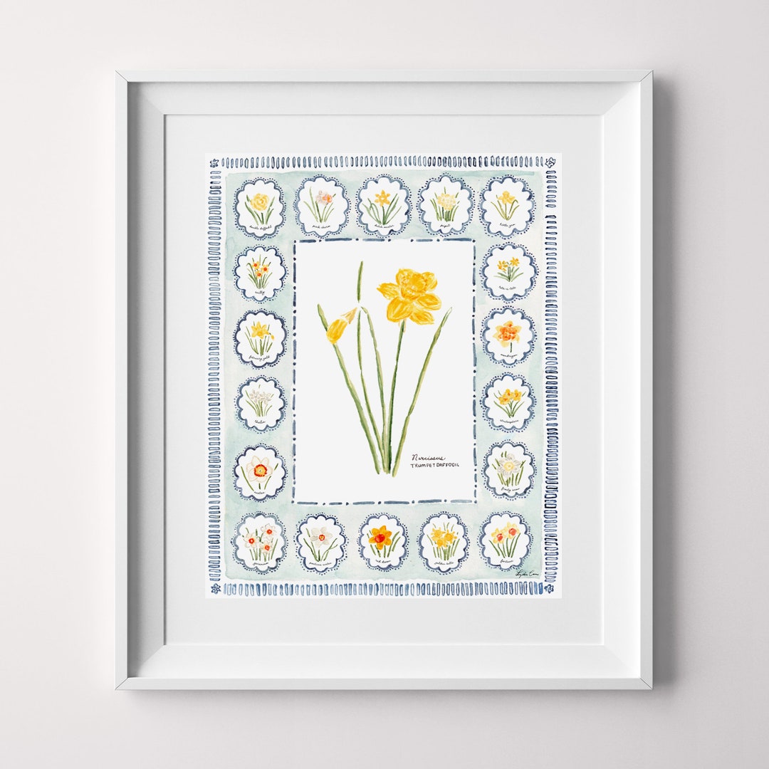 Botanical Art Print No 4: Daffodil Frames - Etsy