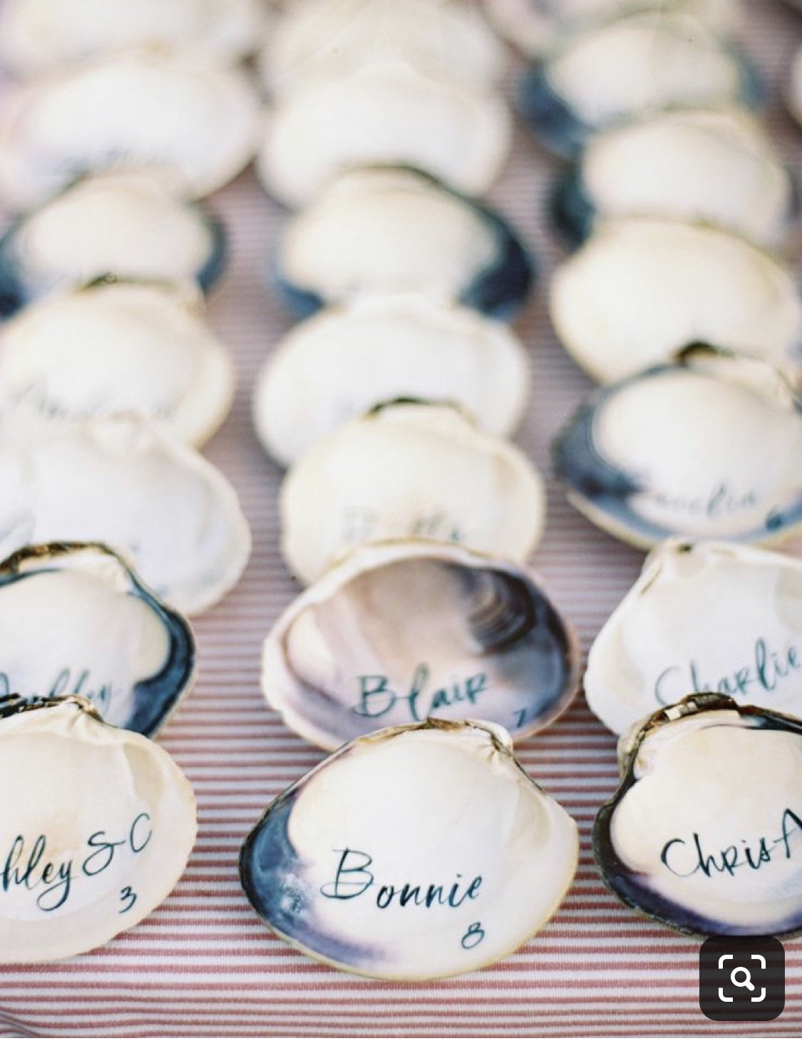 Wedding Decorations and Ideas Beach Wedding Decor Beach - Etsy
