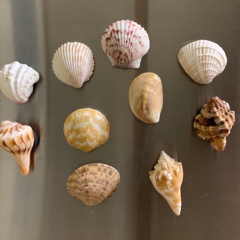 Custom Beach Fridge Magnets - Etsy