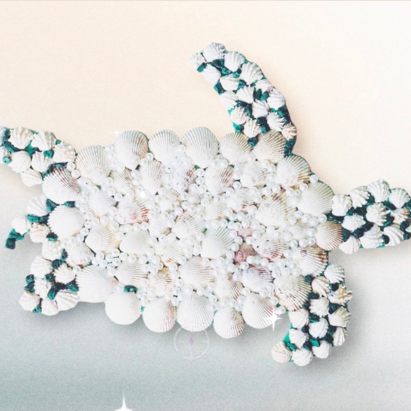 Sea Shell Wall Art - Etsy