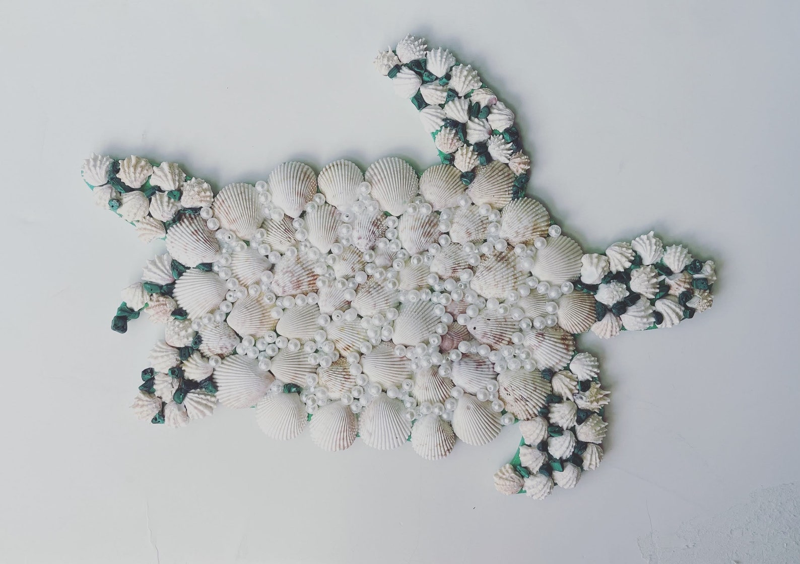 Sea Turtle Decor Sea Turtle Gifts Sea Turtle Art Shell - Etsy