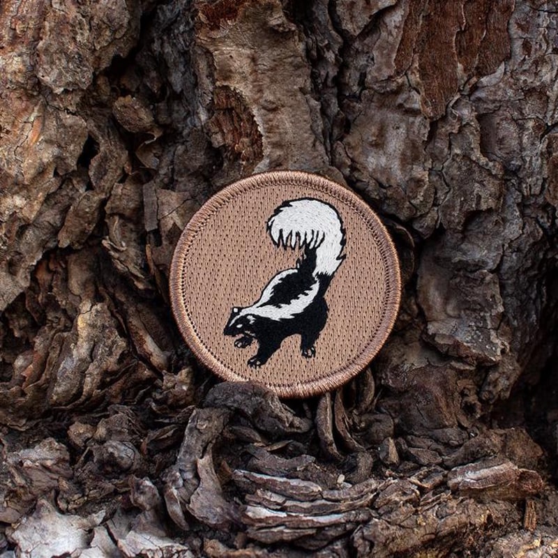 Skunk Pin - Etsy
