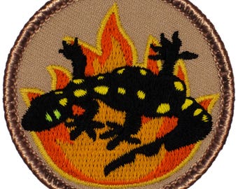 Flaming Platypus Patch 365 2 Inch Diameter Embroidered Patch | Etsy