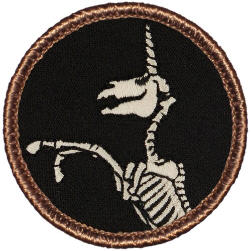 T-rex Patch 192 2 Inch Diameter Embroidered Patch - Etsy