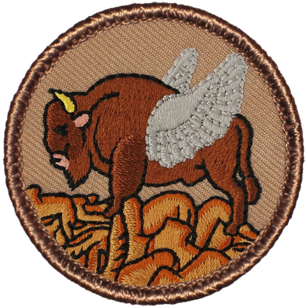 Buffalo Wings Patch - 2 Inch Diameter Embroidered Patch - Etsy