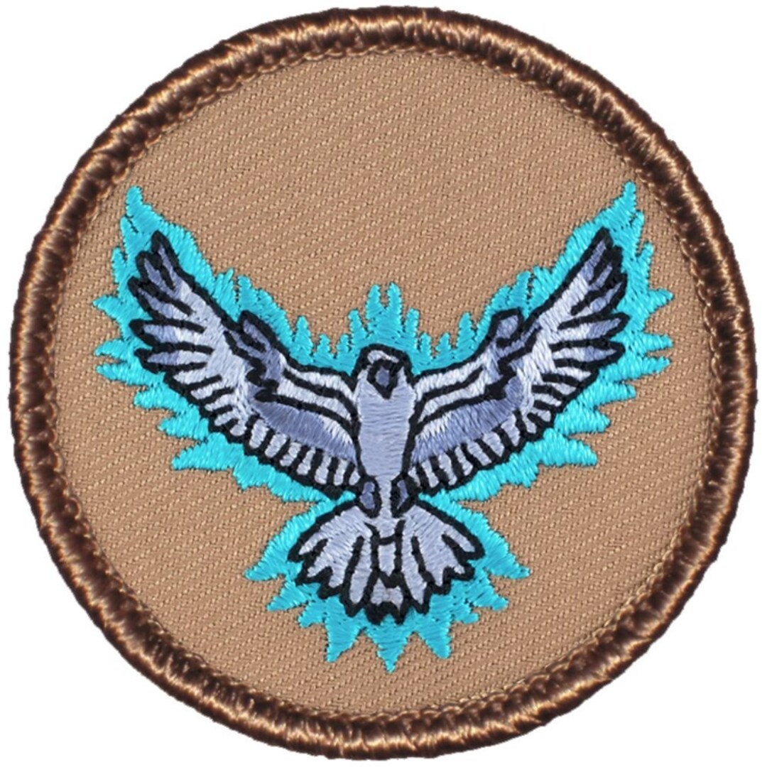 Blazing Osprey Patch - 2 Inch Diameter Embroidered Patch - Etsy