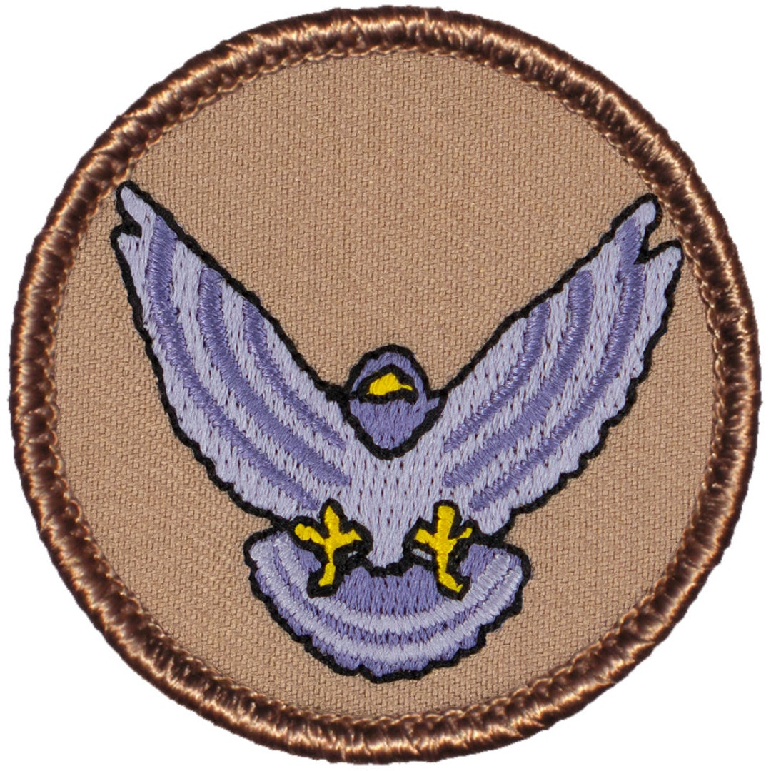 Nighthawk Patch – 2 Inch Diameter Embroidered Patch - Etsy