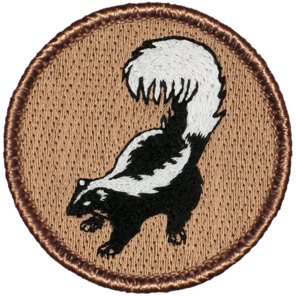 Skunk Pin - Etsy
