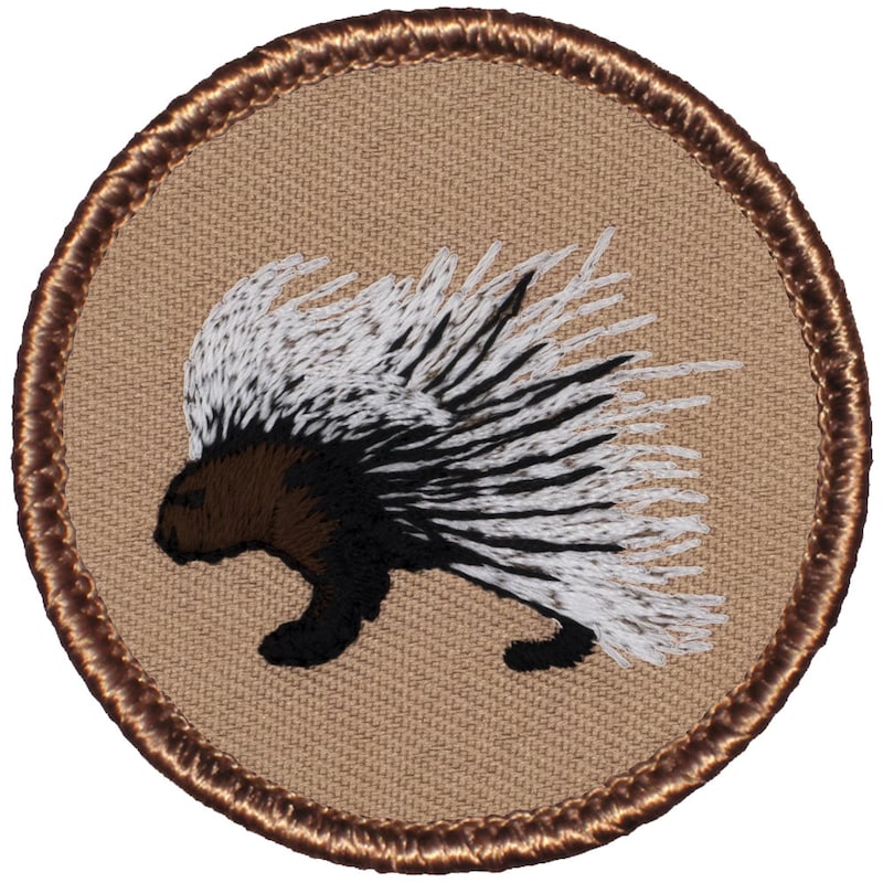 Embroidered Porcupine - Etsy