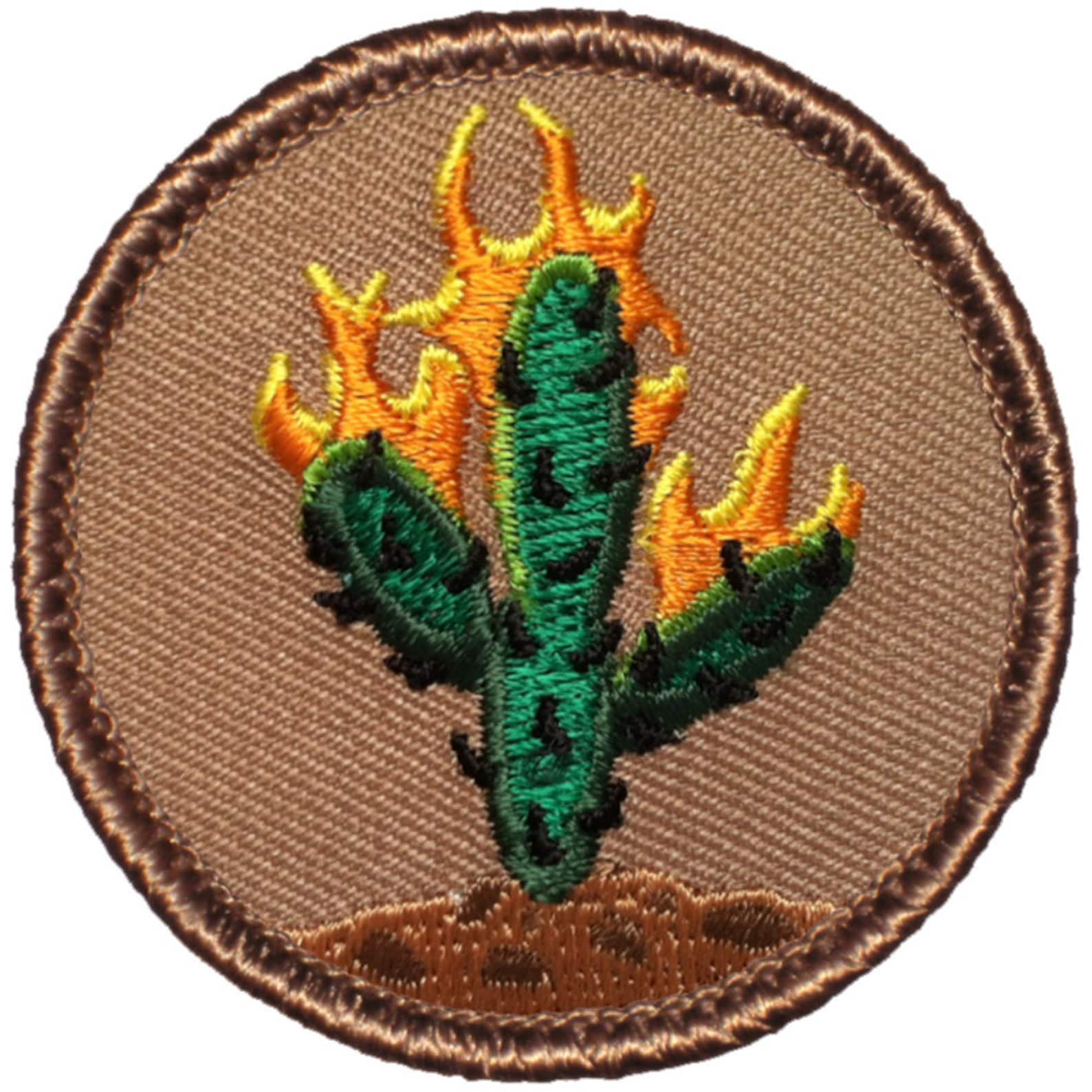 Flaming Cactus Patch - 2 Inch Diameter Embroidered Patch - Etsy