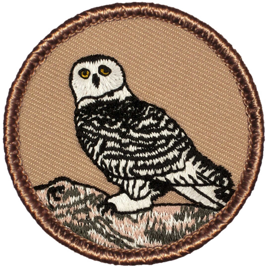 Snowy Owl Patch (721) 2 Inch Diameter Embroidered Patch - Etsy