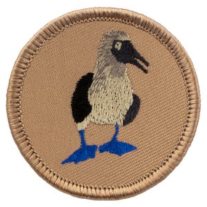 Blue-footed Booby Patch (187) 2 Inch Diameter Embroidered Patch - Etsy