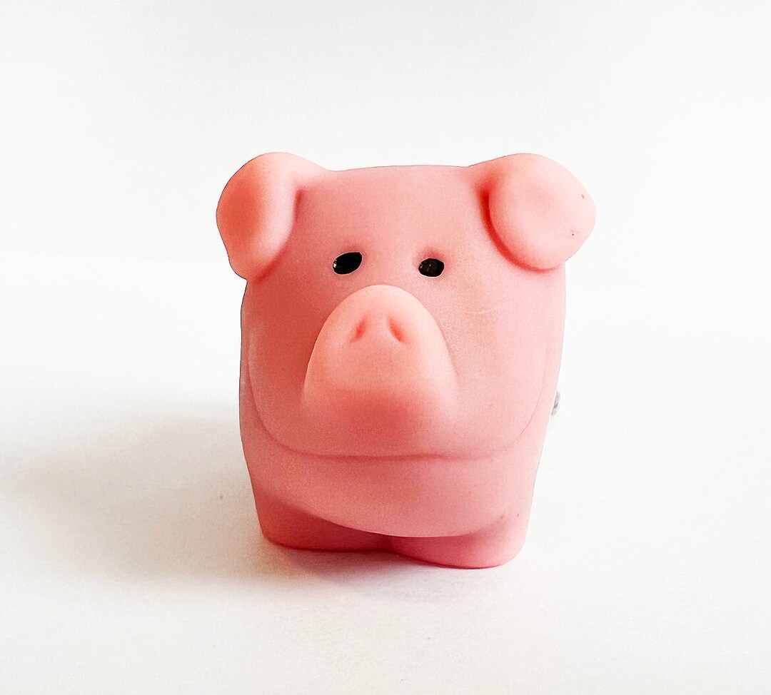 Pooping Pig Piggy Keychain - Etsy