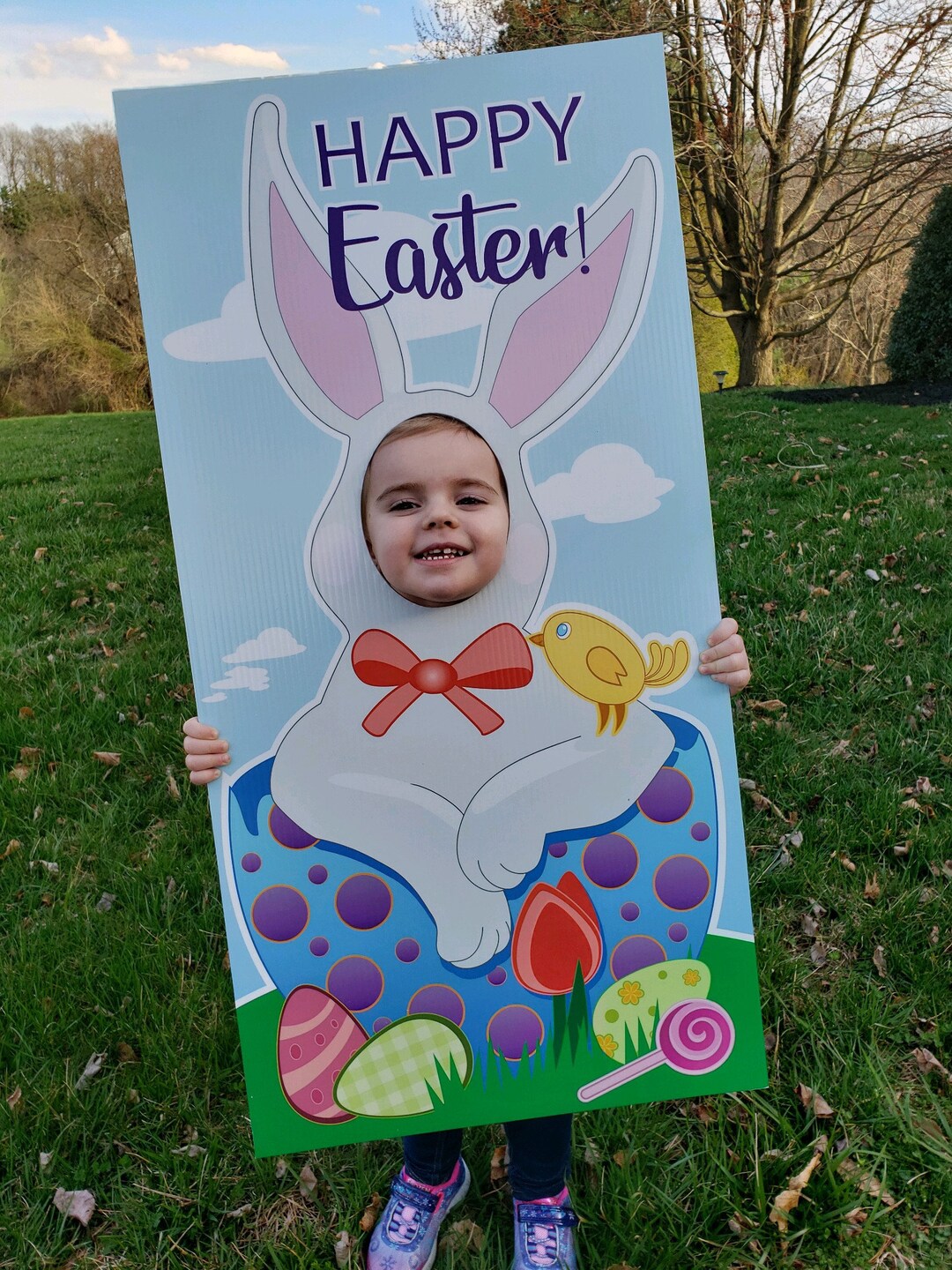 Easter Bunny Face in the Hole Photo Board for Children - Etsy