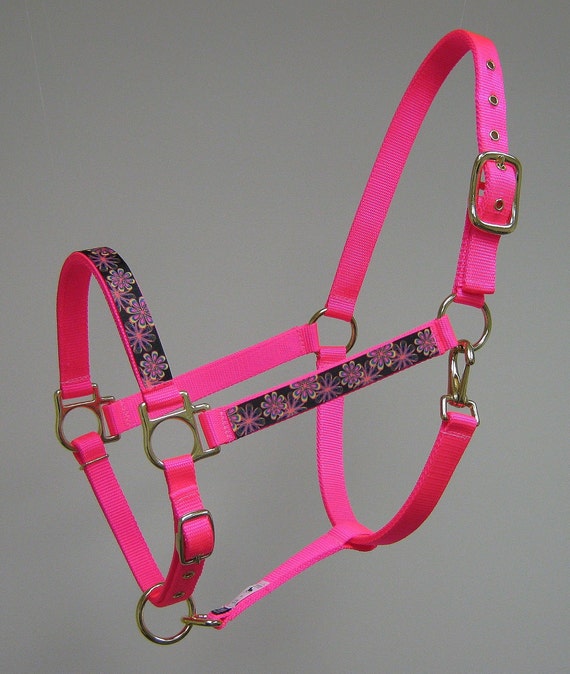 Doodle Horse Halters Designer Horse Halters Fancy Horse - Etsy