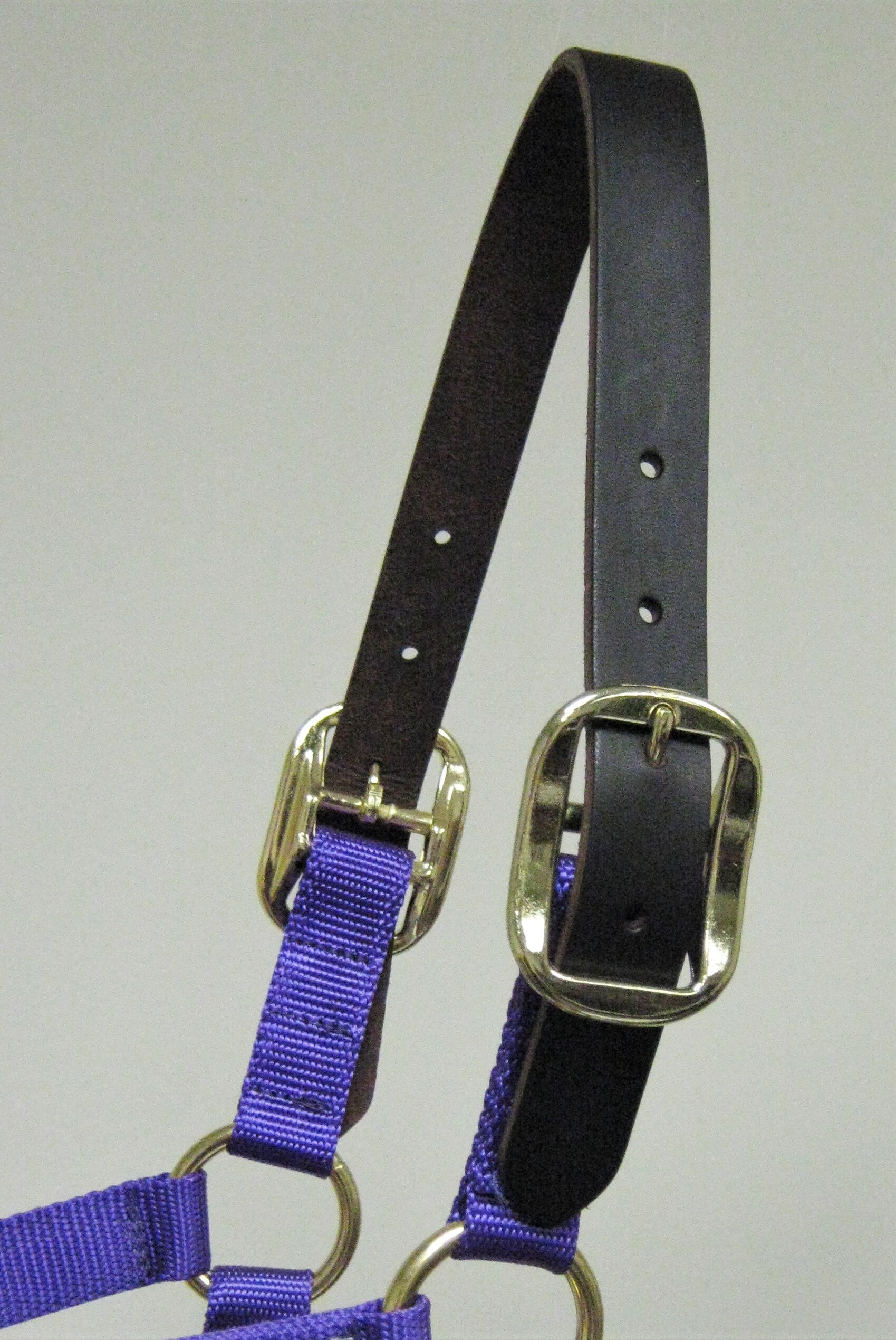 Two Tone Dots Horse Halter Dots Draft Horse Halter Polka Dot | Etsy