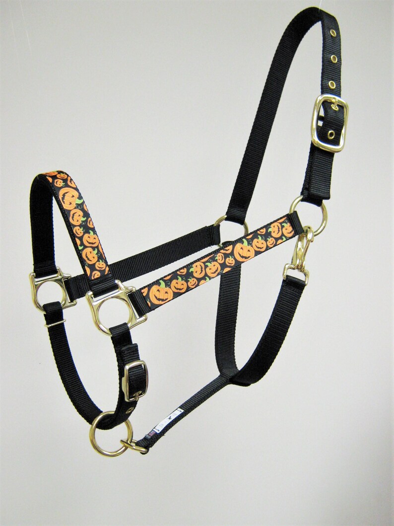 Jack O Lantern Horse Halter, Pumpkin Mini Halter, Halloween Draft ...