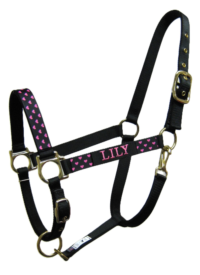 Personalized Hot Pink Hearts Horse Halter, Valentine's Horse Halter ...